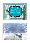 Fun Facts About Snow Mini Book Reading Comprehension | Made By Teachers
