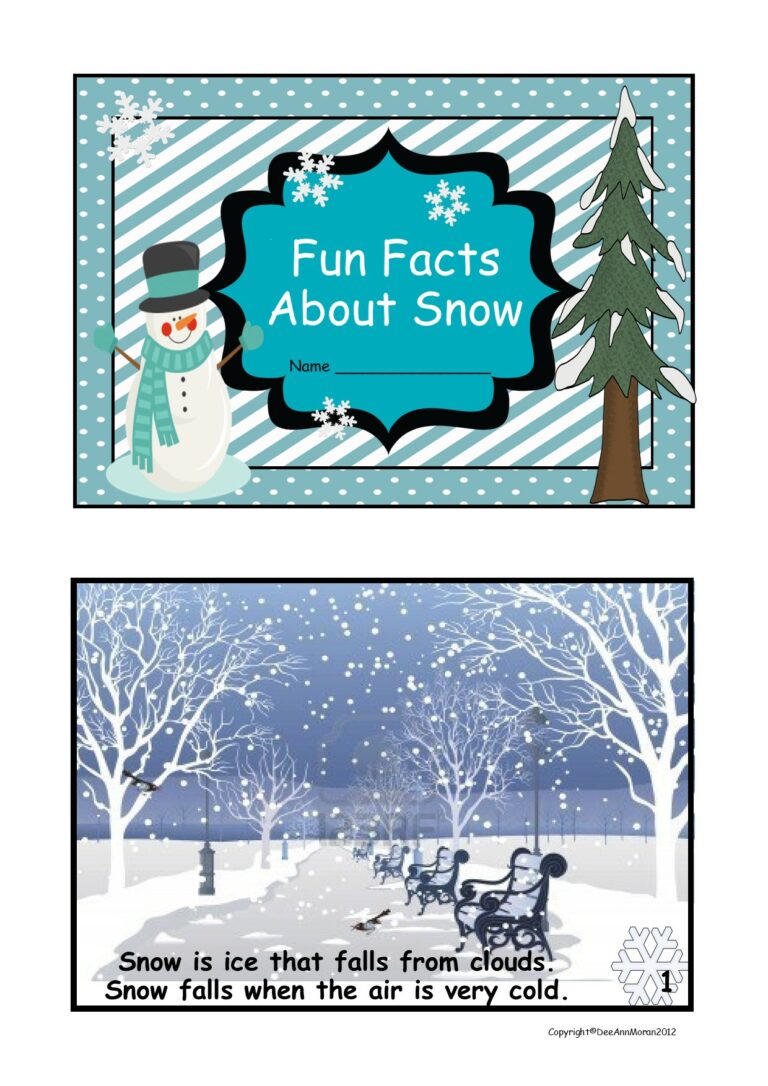 Fun Facts About Snow Mini Book Reading Comprehension | Made By Teachers