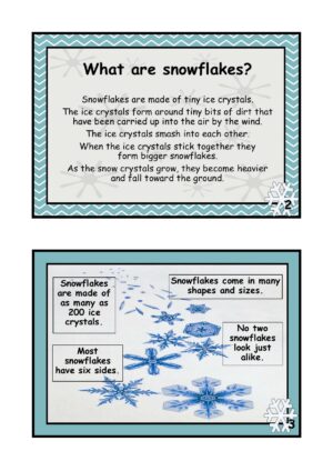 Fun Facts About Snow Mini Book Reading Comprehension | Made By Teachers