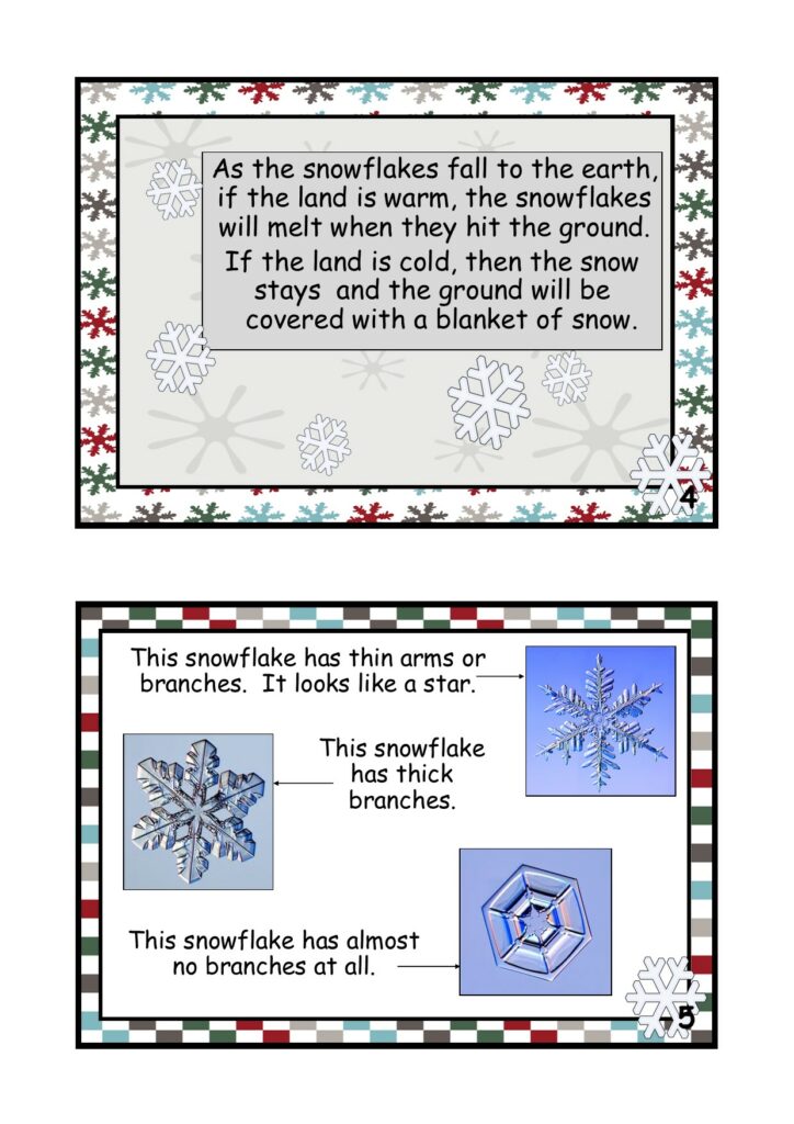 Fun Facts About Snow Mini Book Reading Comprehension | Made By Teachers