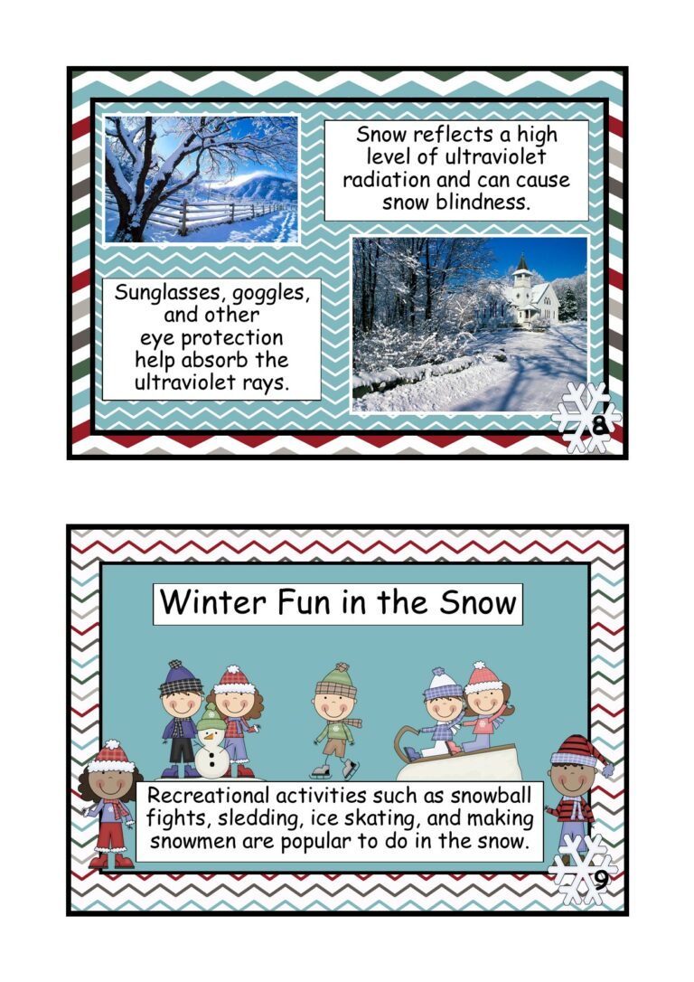 Fun Facts About Snow Mini Book Reading Comprehension | Made By Teachers
