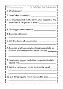 Fun Facts About Snow Mini Book Reading Comprehension - Made By Teachers