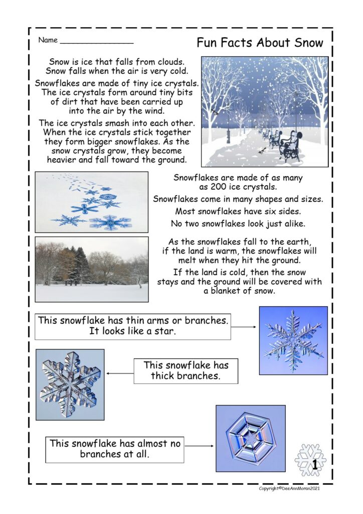 Fun Facts About Snow Reading Comprehension Passage | Made By Teachers