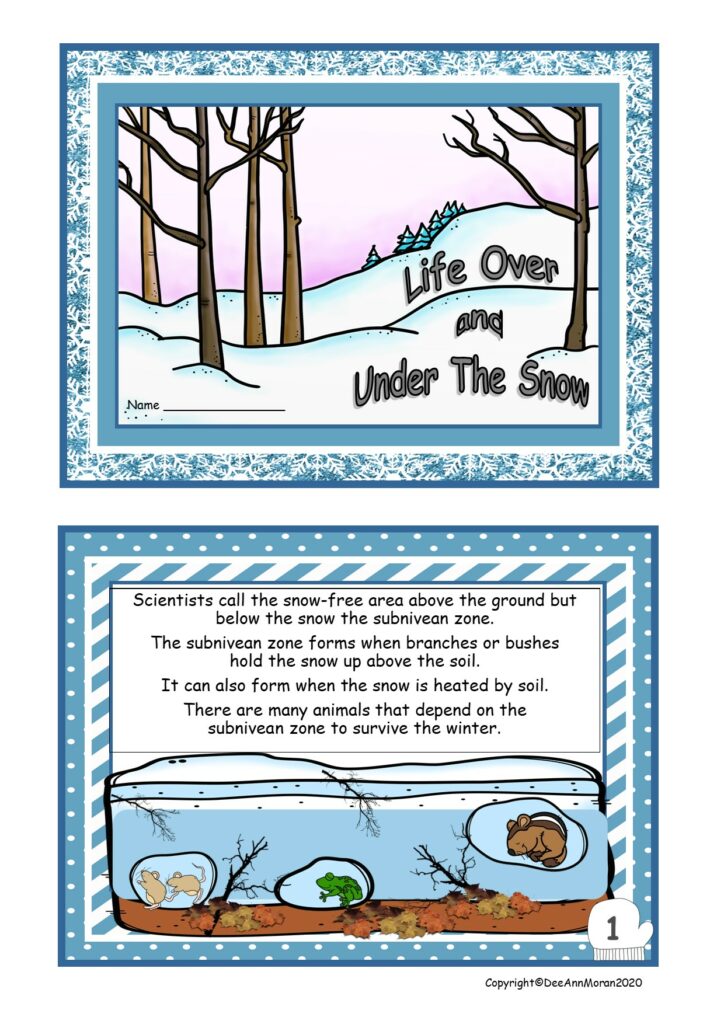 Over and Under the Snow Comprehension Main Idea Summarize Vocabulary ...