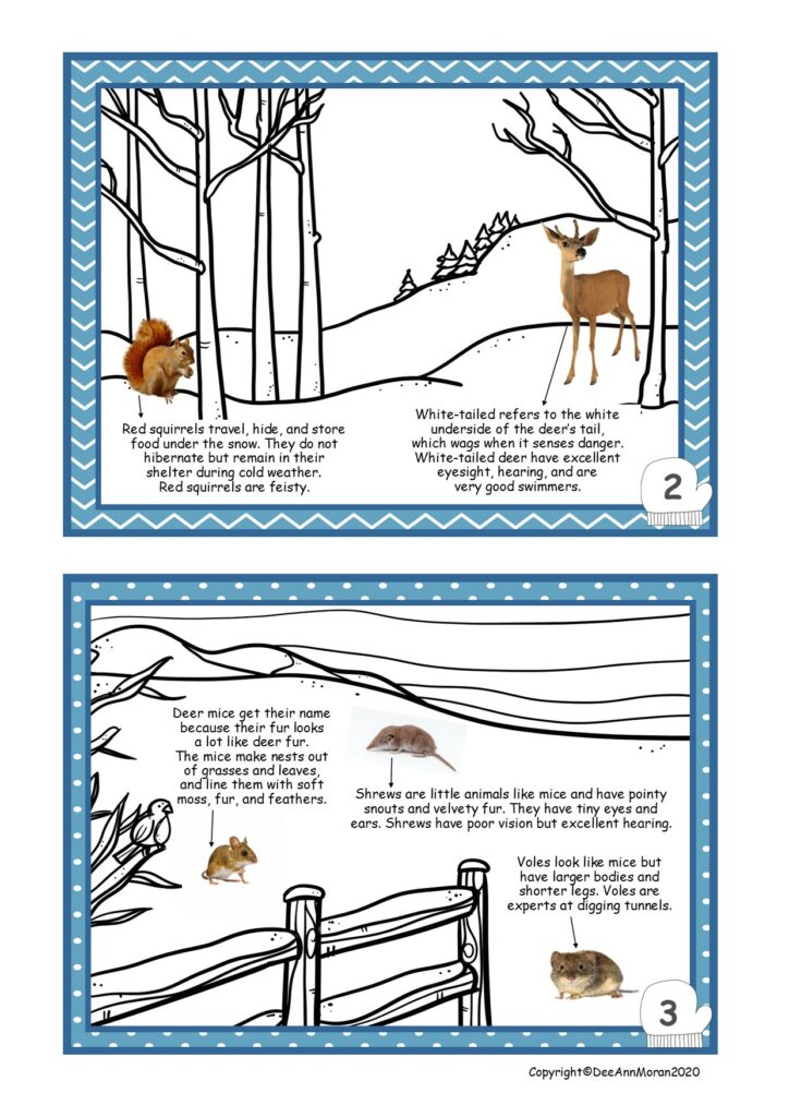 Over and Under the Snow Comprehension Main Idea Summarize Vocabulary ...