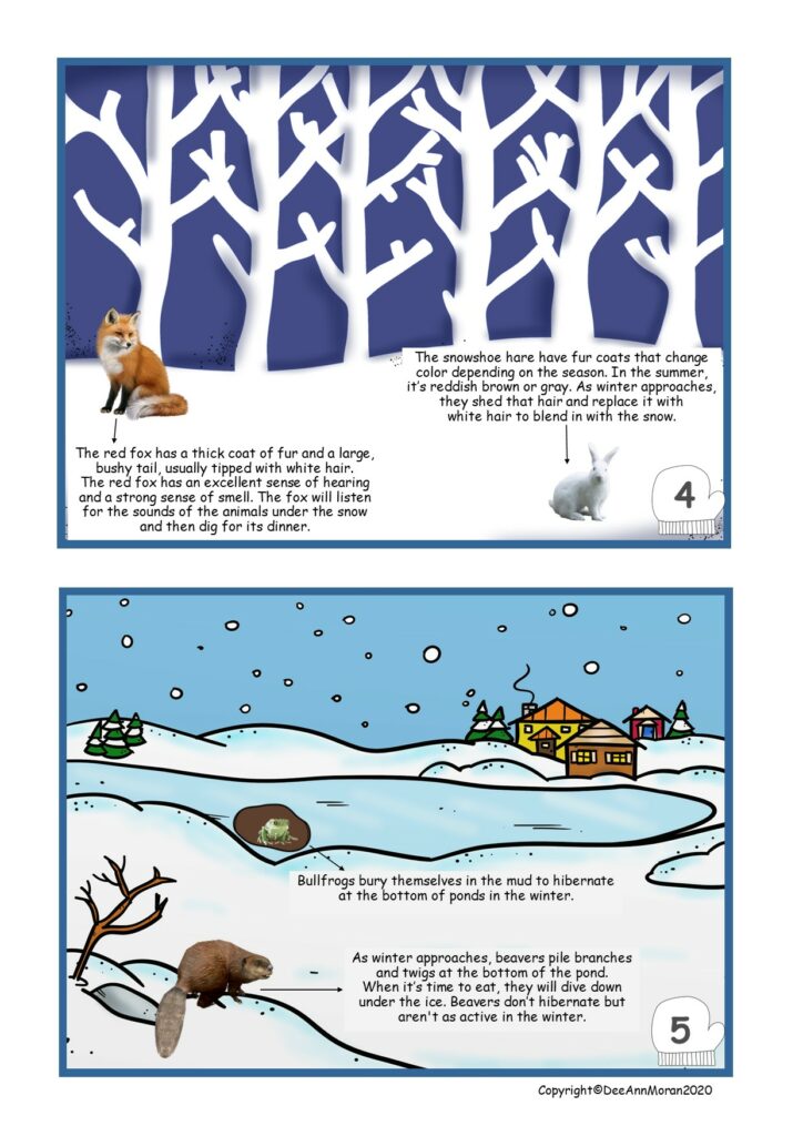 Over and Under the Snow Comprehension Main Idea Summarize Vocabulary ...
