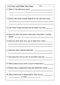 Over and Under the Snow Comprehension Main Idea Summarize Vocabulary ...