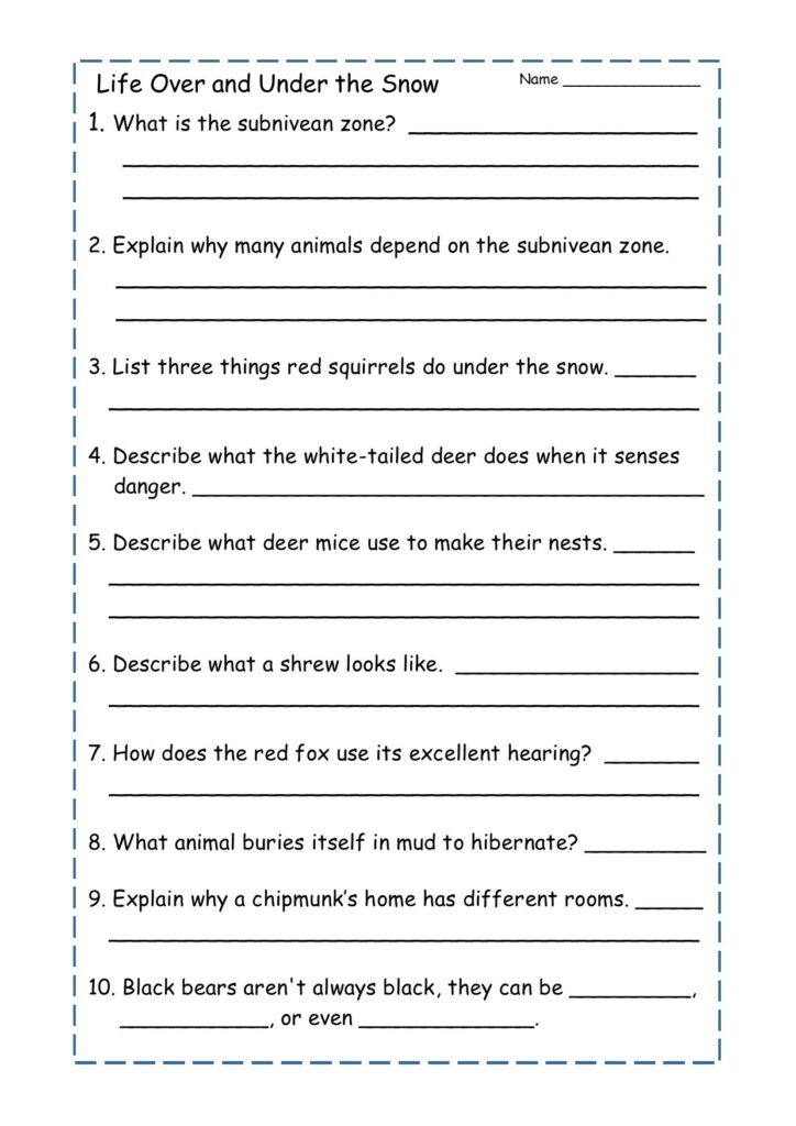 Over and Under the Snow Comprehension Main Idea Summarize Vocabulary ...