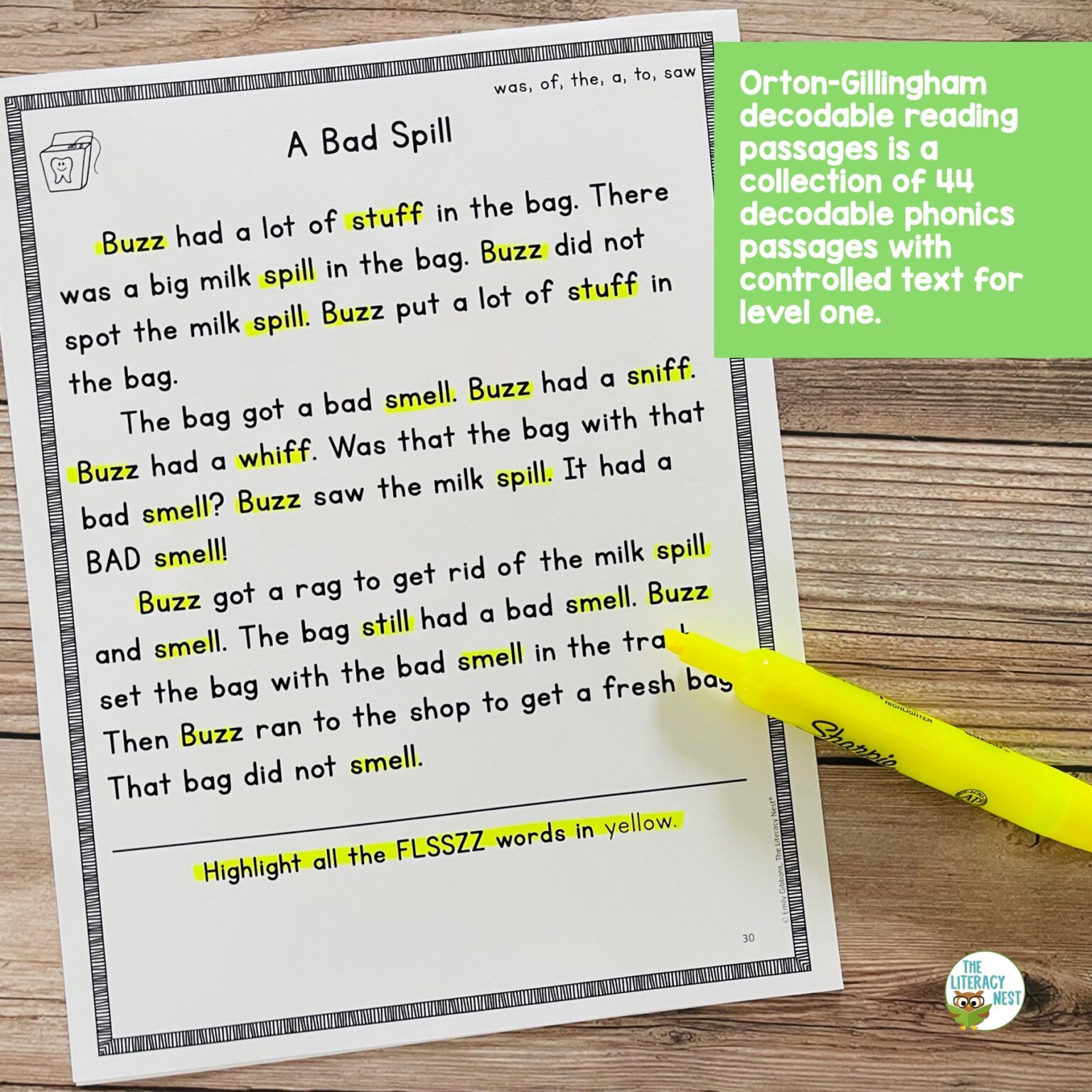 Let's Read Decodable Text and Passages for Orton-Gillingham Lessons ...