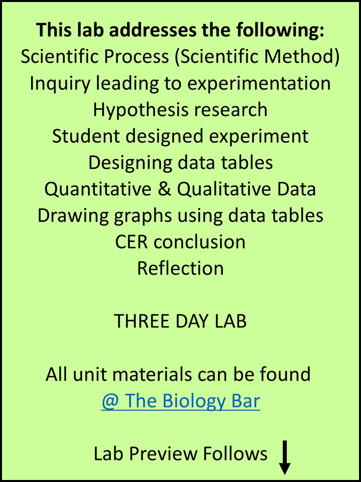Inquiry Lab Mealworms Student Designed | Made By Teachers