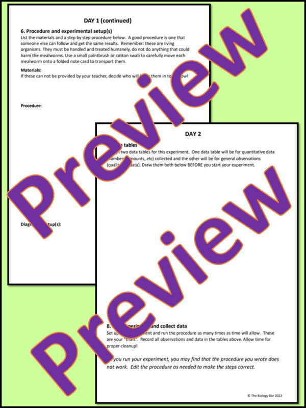 Inquiry Lab Mealworms Student Designed - Made By Teachers