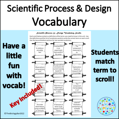 Scientific Process and Design Vocabulary | Made By Teachers