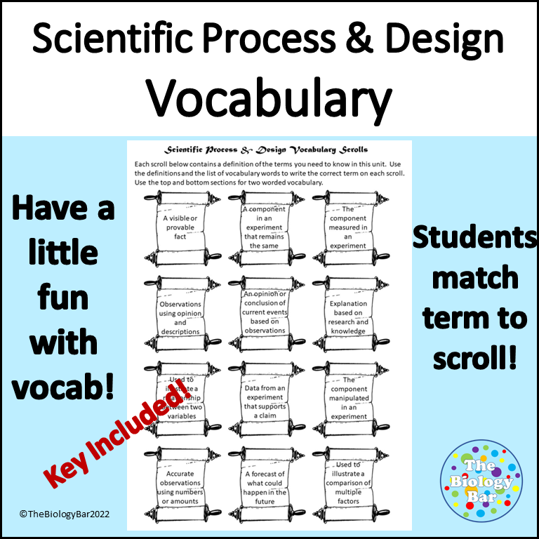 DNA Interactive Model PPT | Made By Teachers