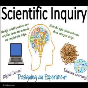 Scientific Method Process Interactive PPT to Design Experiment - Made ...