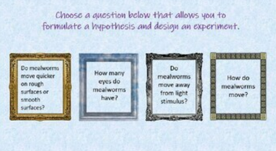 Scientific Method Process Interactive PPT to Design Experiment | Made ...