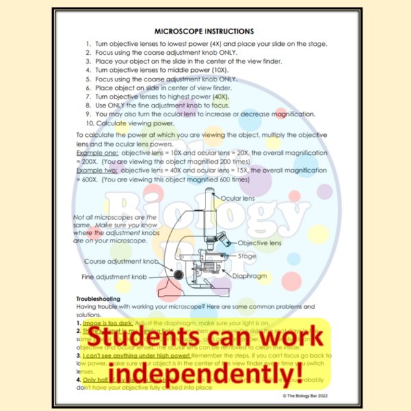 FREE How to Use a Microscope | Made By Teachers