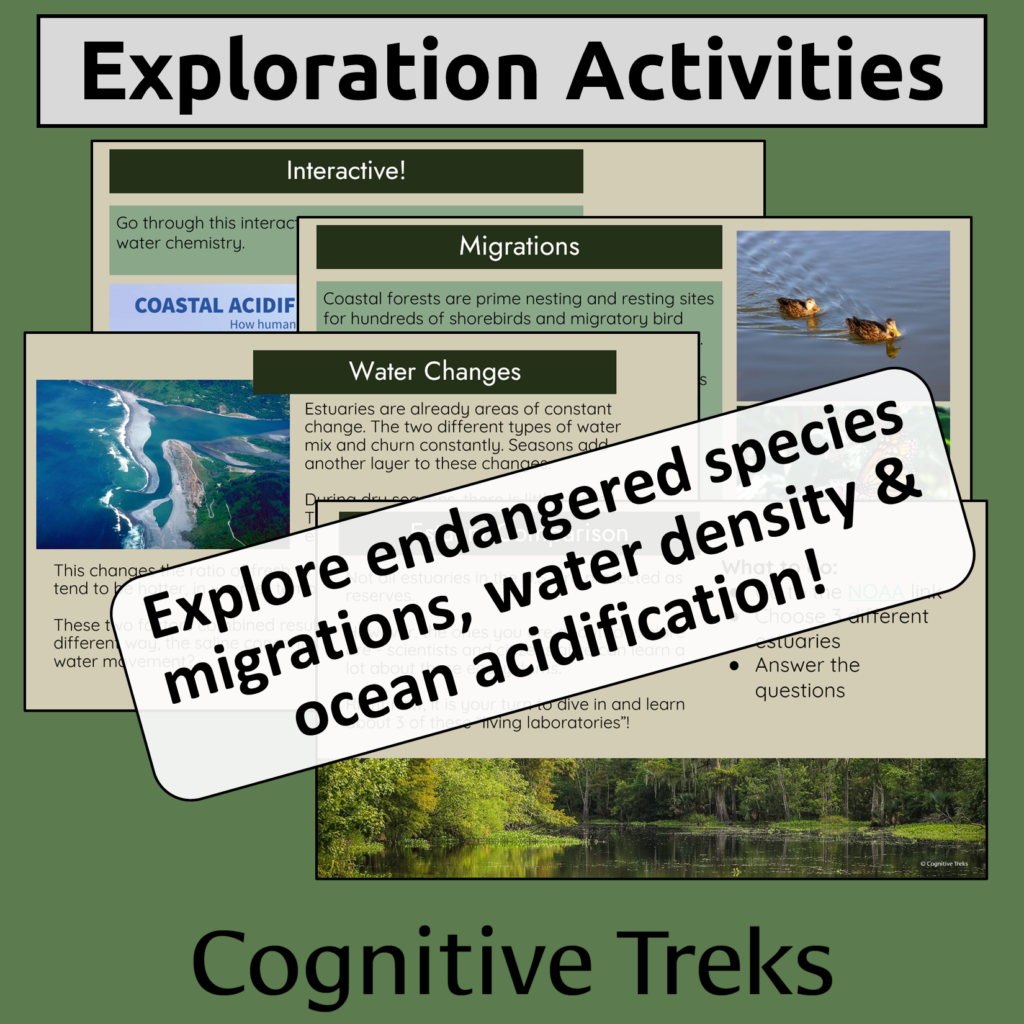 Wetland & Estuary Ecosystems | Ecology & Human Impact | Lesson/Notes ...