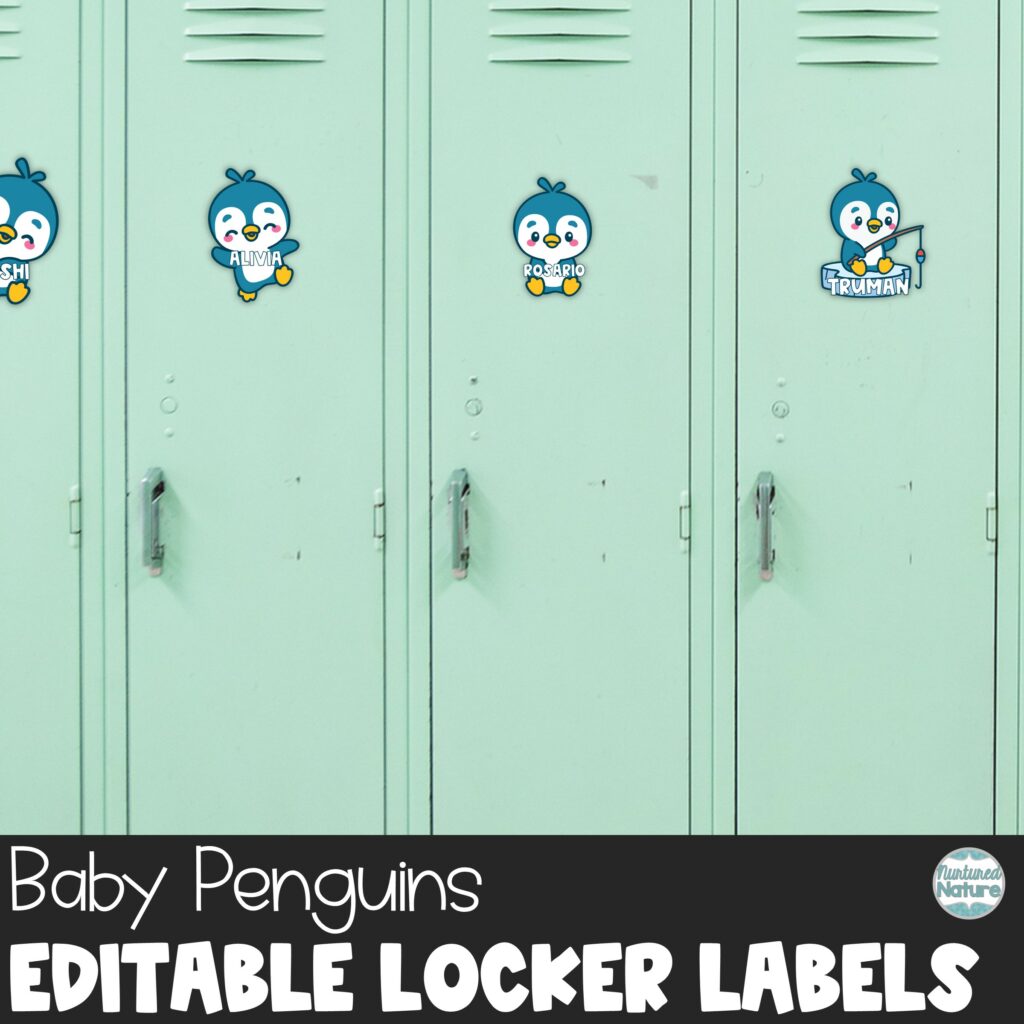 Baby Penguin Locker Labels - Editable Cubby Tags - Winter Classroom ...