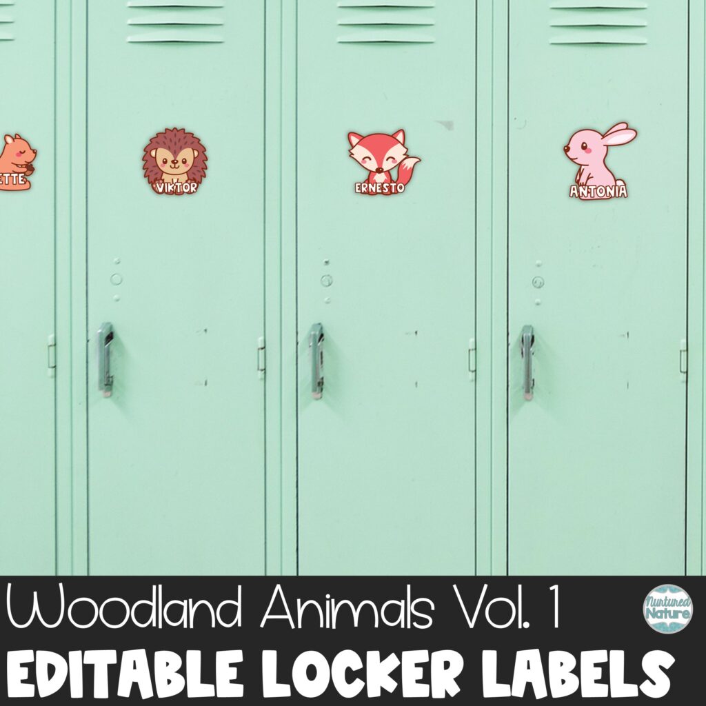 Woodland Animal Theme Locker Labels - Editable Cubby Tags 1 | Made By ...