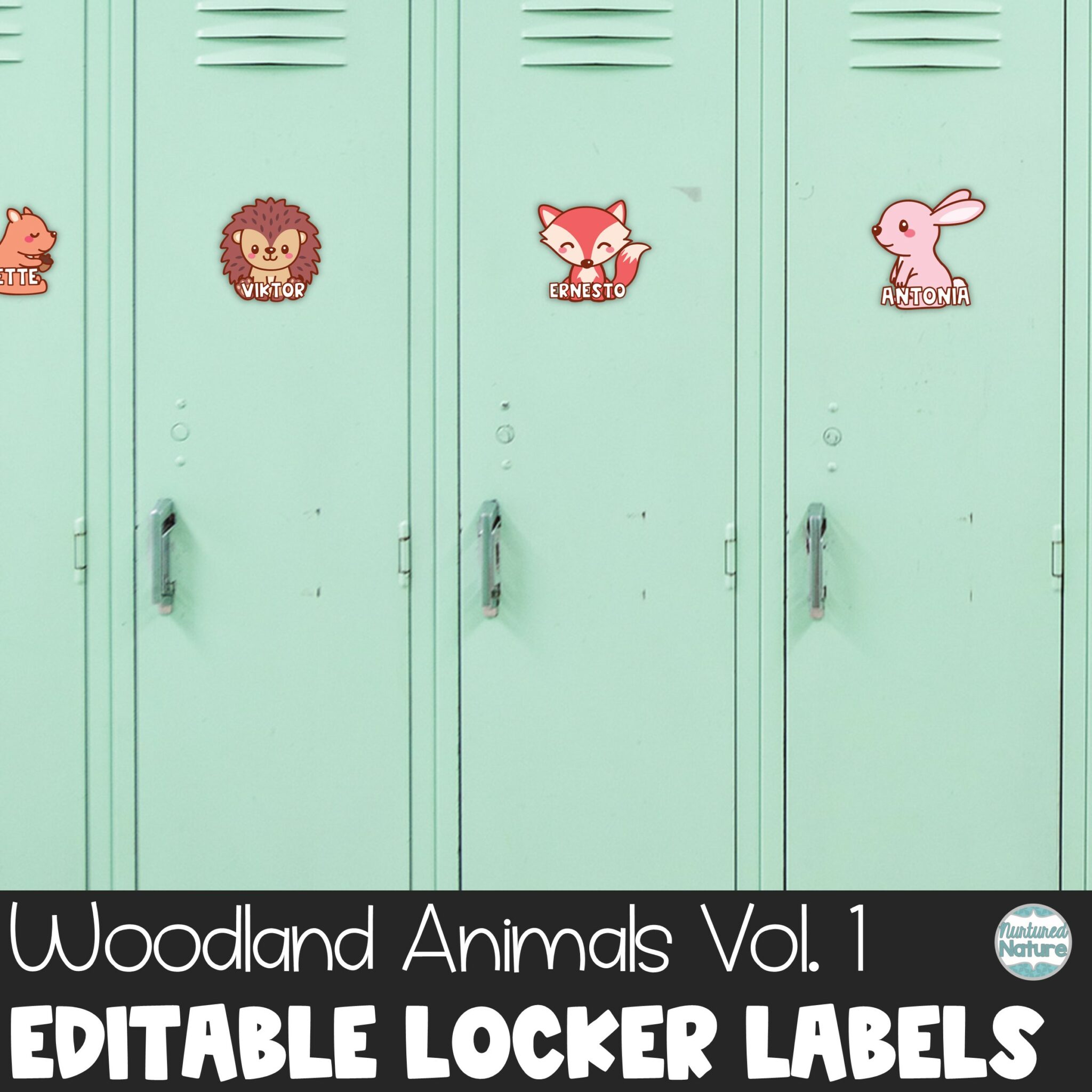 Woodland Animal Theme Locker Labels - Editable Cubby Tags 1 | Made By ...