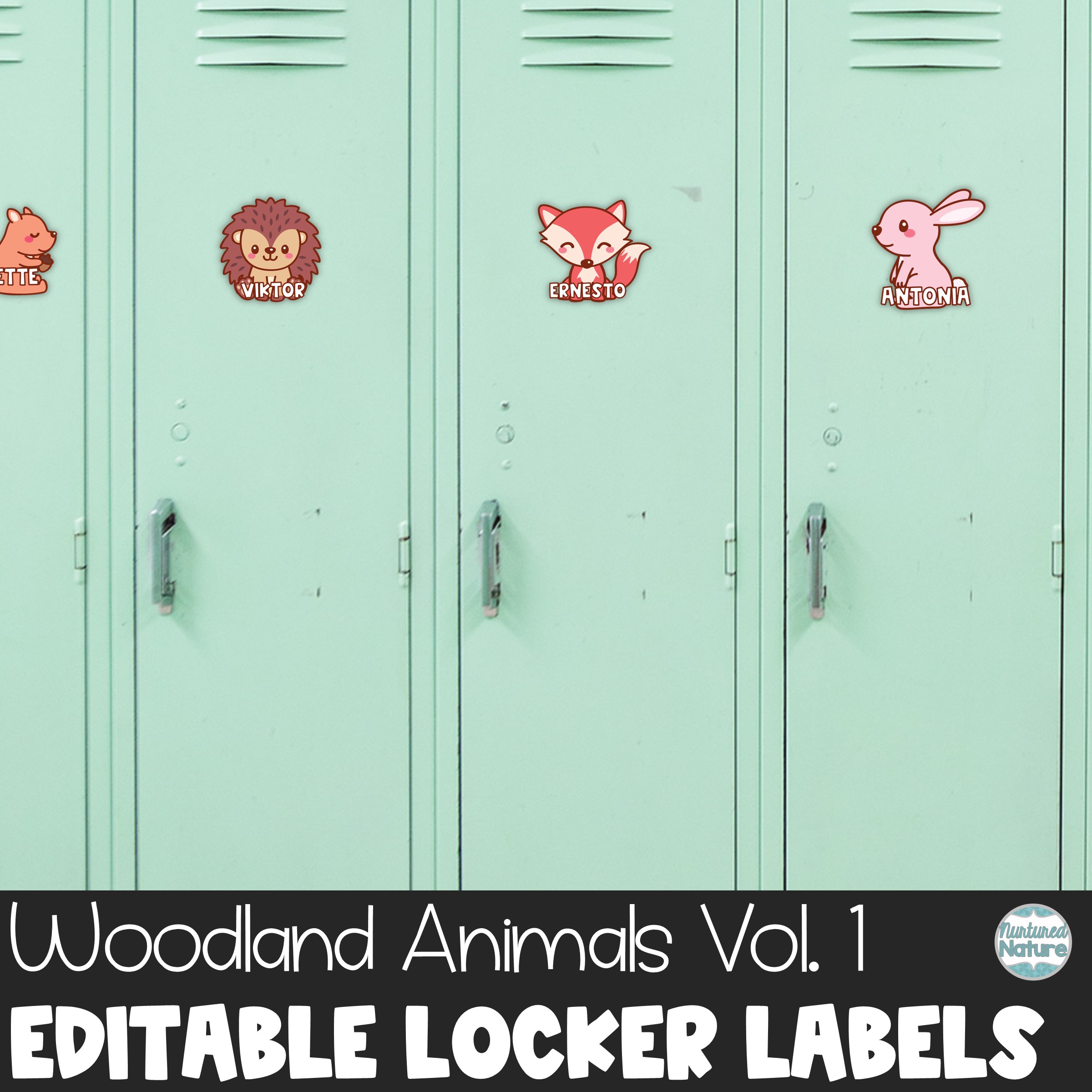 Woodland Animal Theme Locker Labels - Editable Cubby Tags 1 | Made By ...
