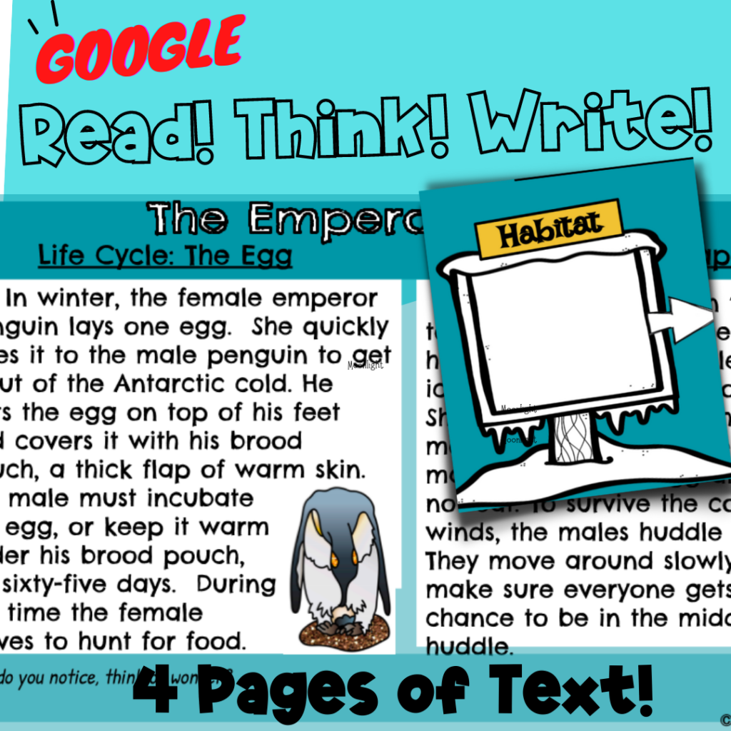 Penguins Habitat Adaptations INTERACTIVE NOTEBOOK with Text Video ...