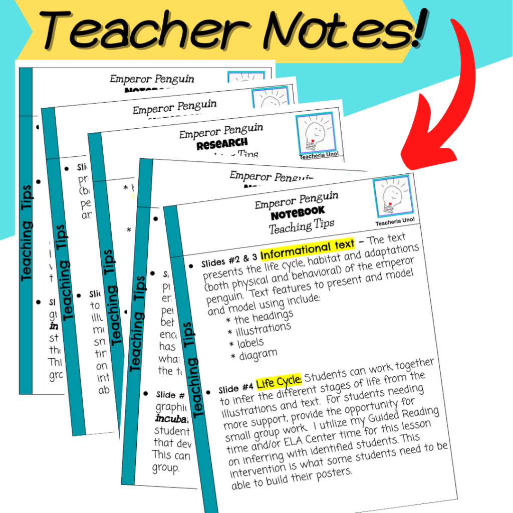 Penguins Habitat Adaptations INTERACTIVE NOTEBOOK with Text Video ...