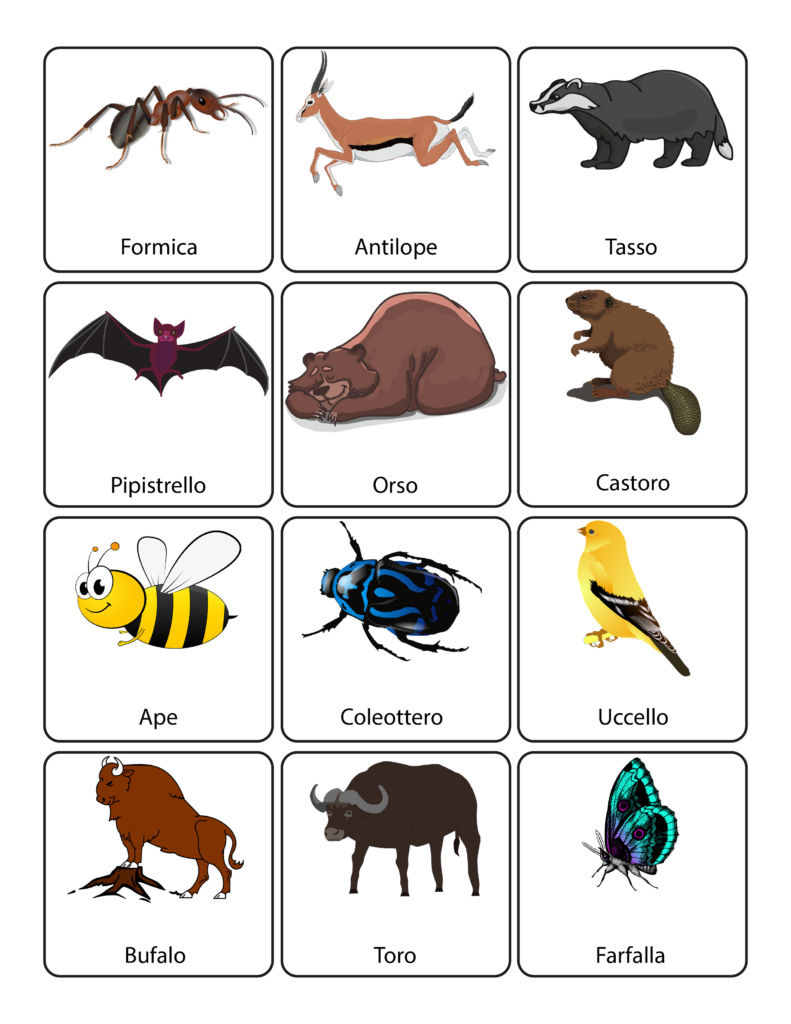 Italian Animals' Names Vocabulary Flashcards Labels for Classroom ...