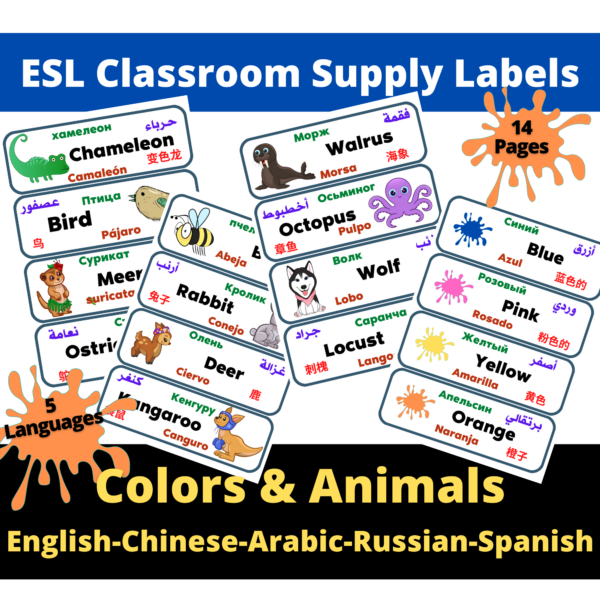 Multilingual ESL Kitchen Objects Labels English Chinese Arabic Russian ...
