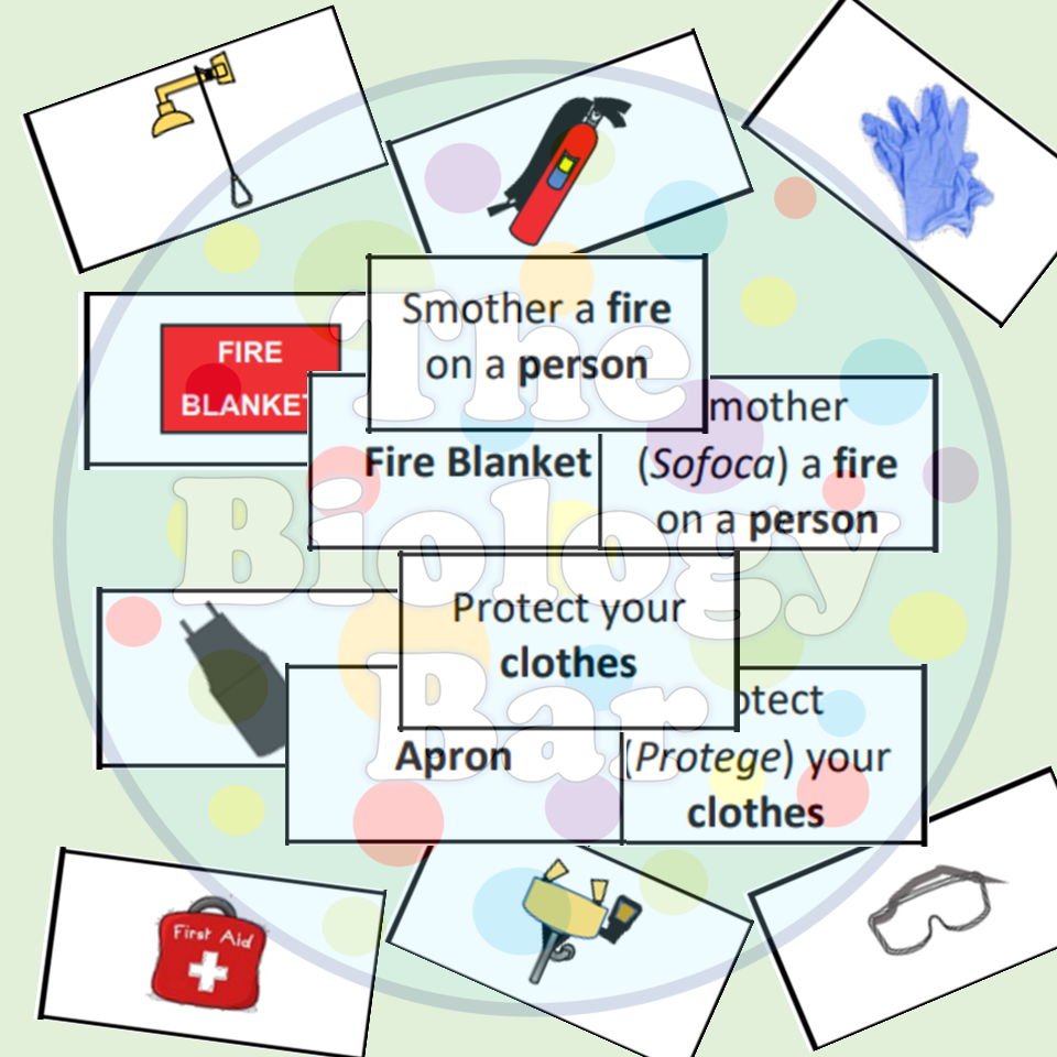 ESL Biology Lab Safety Equipment Cards for Spanish Speakers | Made By ...