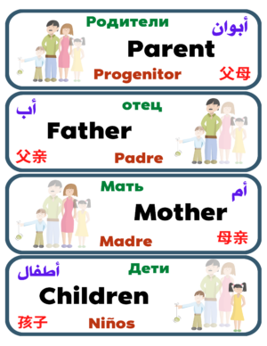 Multilingual ESL Familly Members Flashcards Labels English Chinese ...