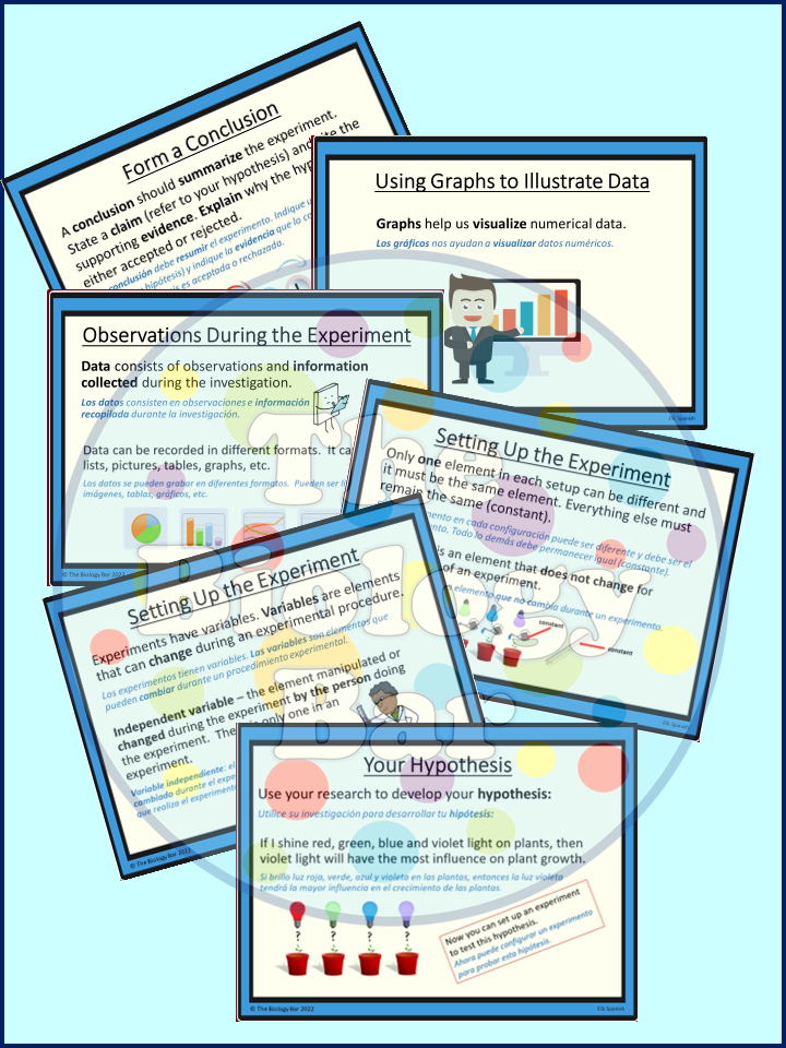 ESL Biology Scientific Method PPT Notes for Spanish Speakers | Made By ...