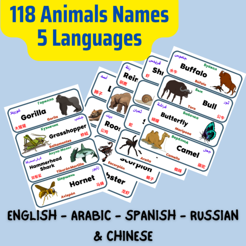Multilingual ESL Flashcards Labels English Chinese Arabic Russian ...