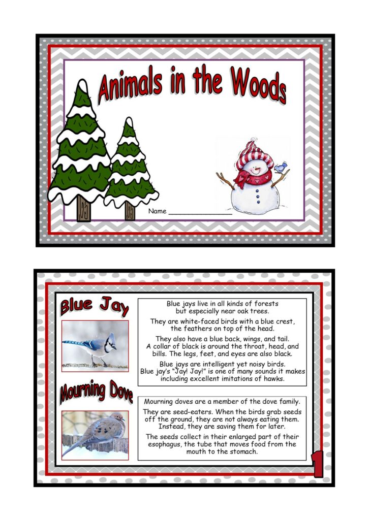 Stranger in the Woods Reading Comprehension | Made By Teachers