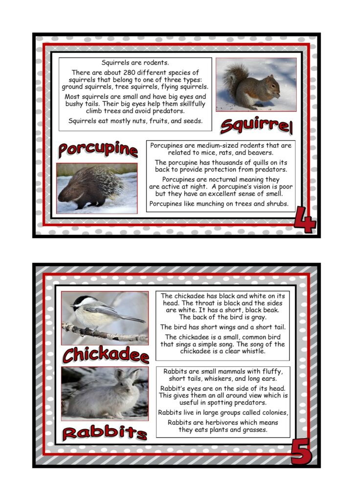 Stranger in the Woods Reading Comprehension - Made By Teachers