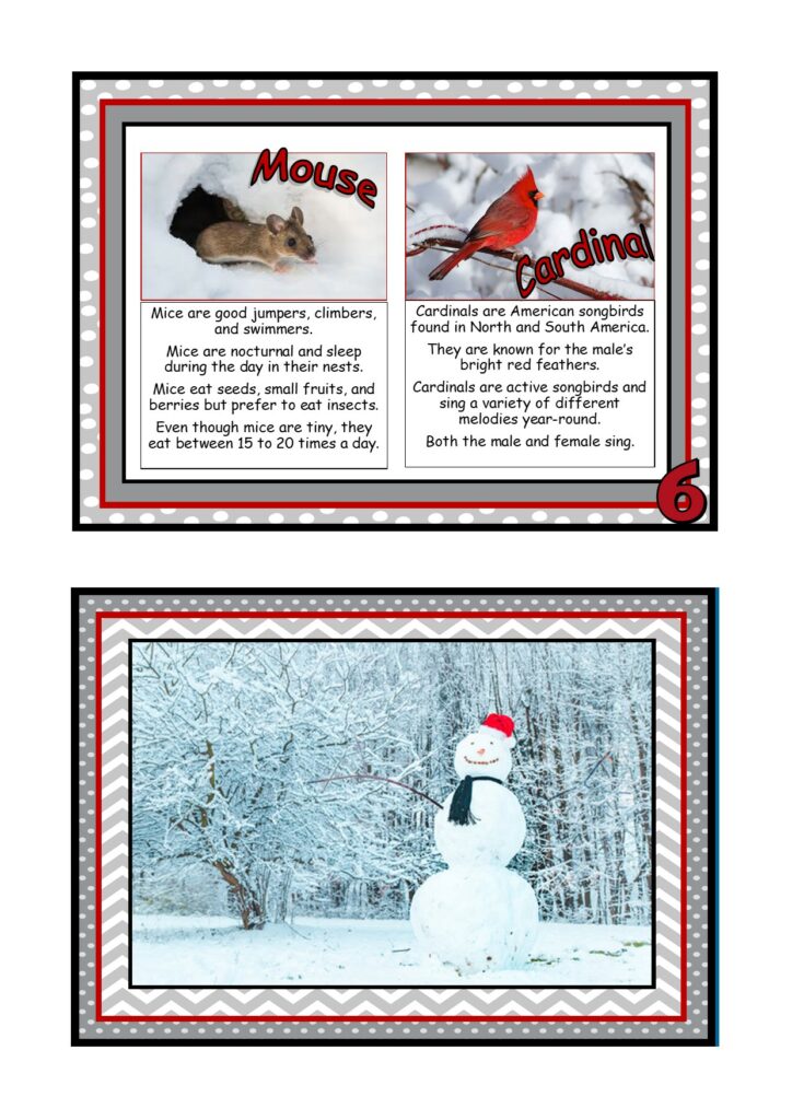 Stranger in the Woods Reading Comprehension | Made By Teachers