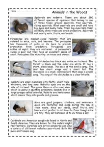 Stranger in the Woods Reading Comprehension | Made By Teachers