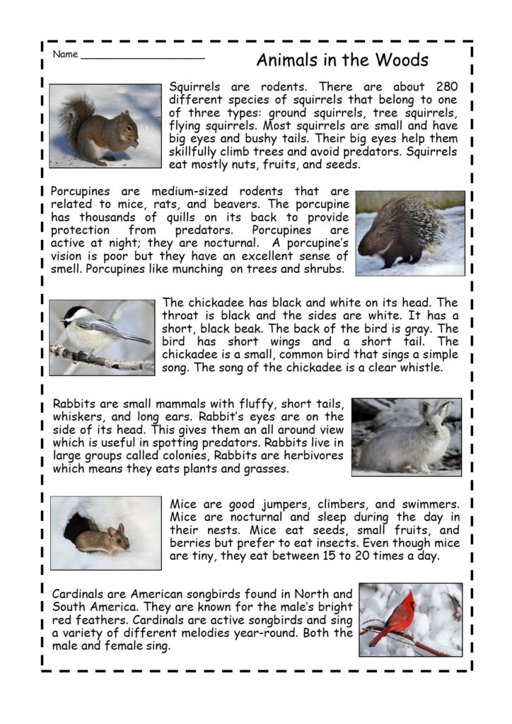 Stranger in the Woods Reading Comprehension | Made By Teachers