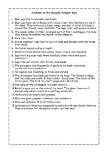 Stranger in the Woods Reading Comprehension | Made By Teachers