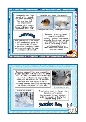 Cozy-Arctic Animals Comprehension Main Idea Retell Vocabulary | Made By ...
