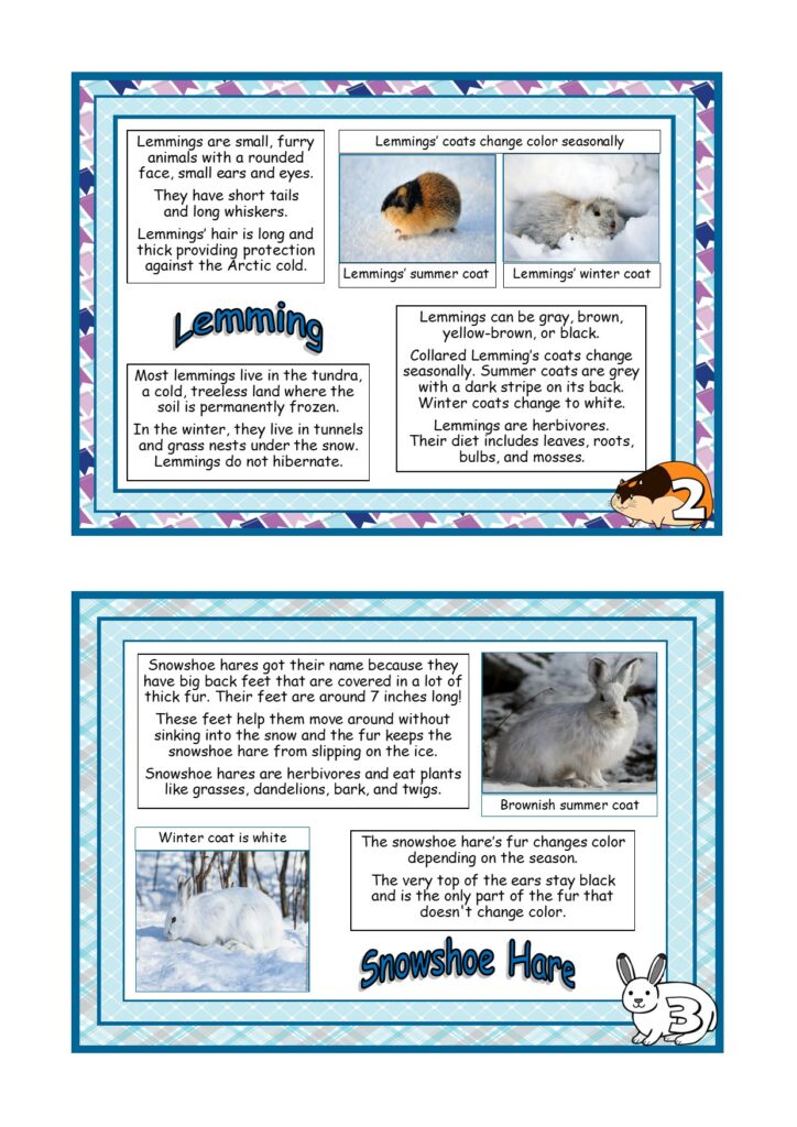 Cozy-Arctic Animals Comprehension Main Idea Retell Vocabulary - Made By ...