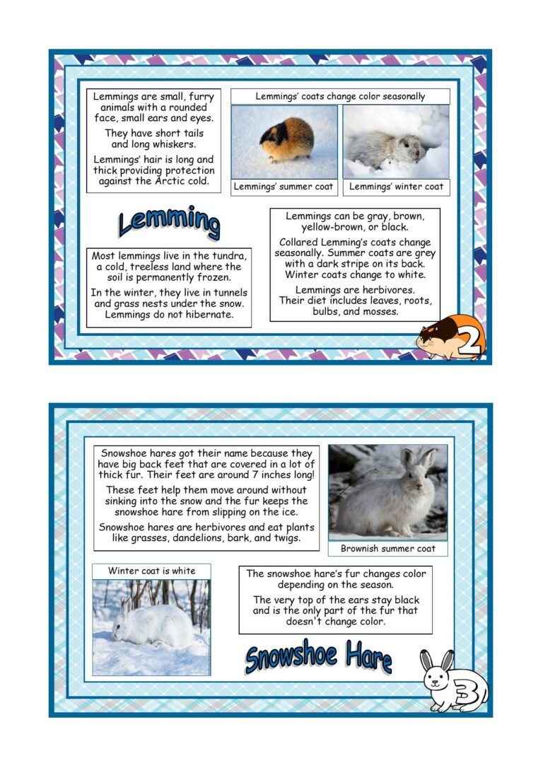 Cozy-Arctic Animals Comprehension Main Idea Retell Vocabulary | Made By ...