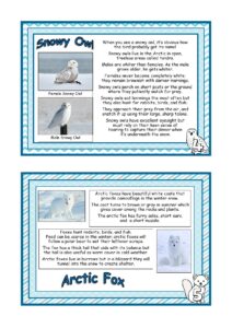 Cozy-Arctic Animals Comprehension Main Idea Retell Vocabulary | Made By ...