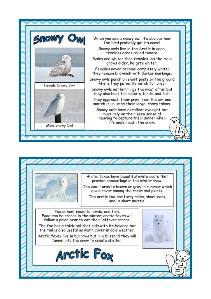Cozy-Arctic Animals Comprehension Main Idea Retell Vocabulary - Made By ...