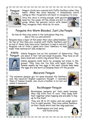 Penguin Facts Reading Comprehension Passage | Made By Teachers