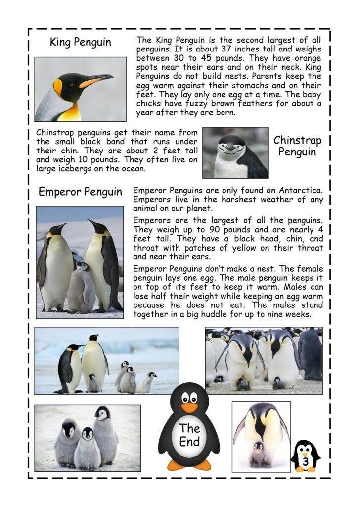 Penguin Facts Reading Comprehension Passage | Made By Teachers