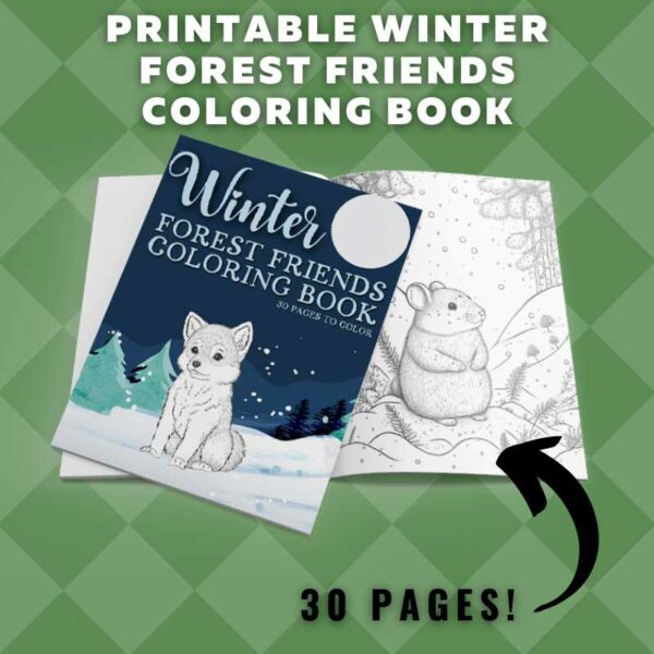 Printable Winter Forest Friends Coloring Book | Made By Teachers
