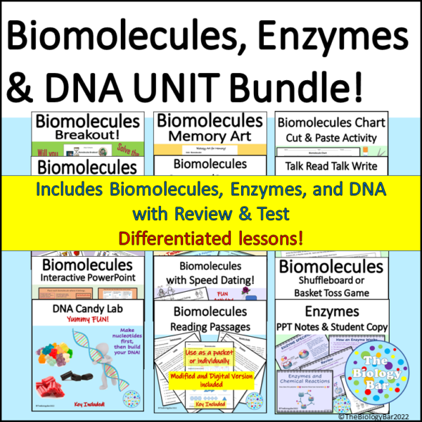 Biomolecules Enzymes & DNA Unit Bundle | Made By Teachers