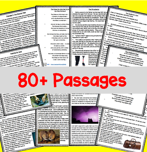 6th Grade Reading Literature: The Bundle! | Made By Teachers