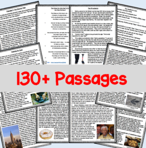 6th Grade Reading Literature and Informational Text: The BIG Bundle ...